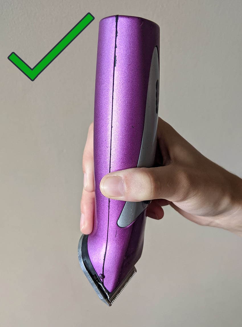 How to Trim Paw Pads - Easy Step-By-Step