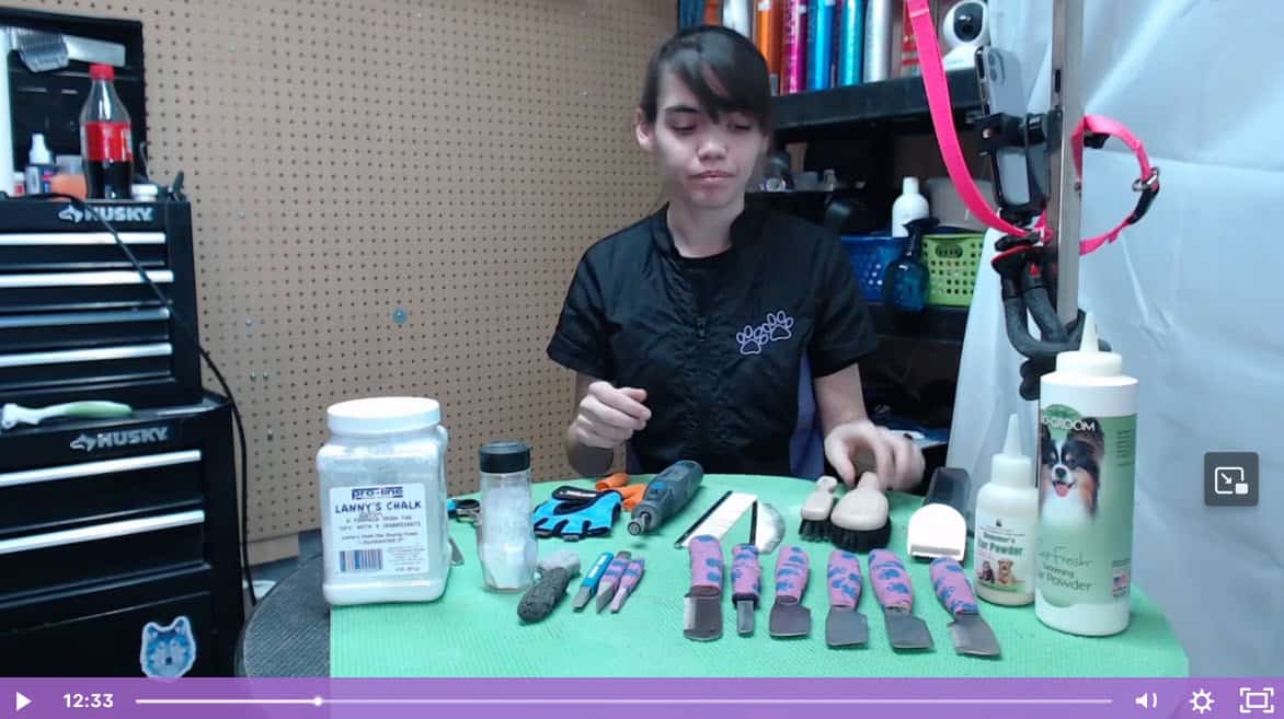 The Hand Stripping Masterclass - Primpaws Grooming Academy